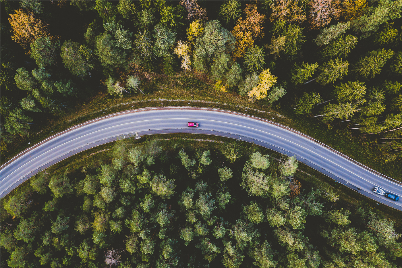 Reliance Protection Plans